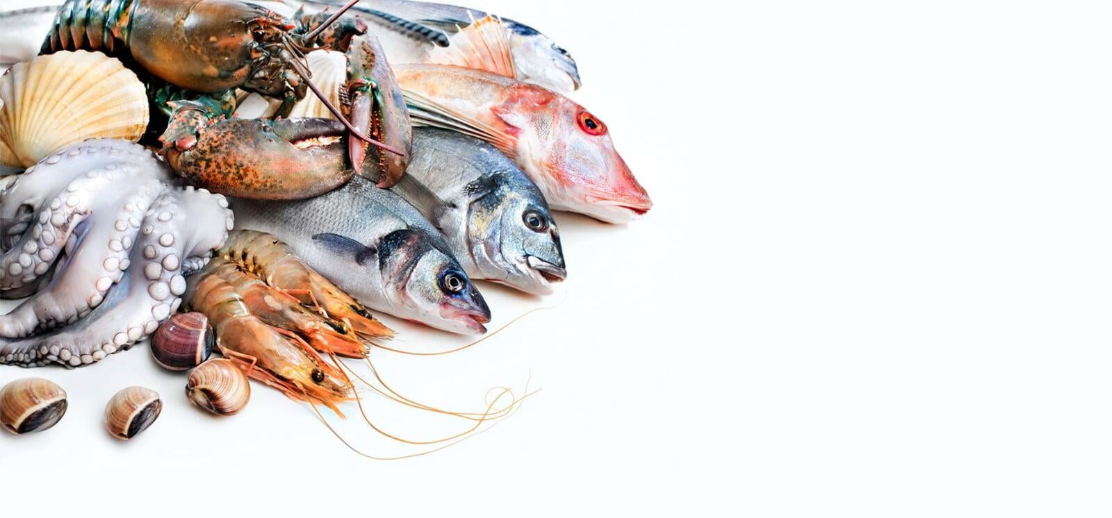 Fresh Online Fish and Meat store | Kannu Online delivery |Best Online ...