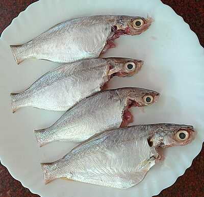 Fresh Online Fish and Meat store | Kannu Online delivery |Best Online ...