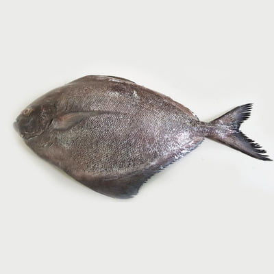 Home | FreshWorld Express