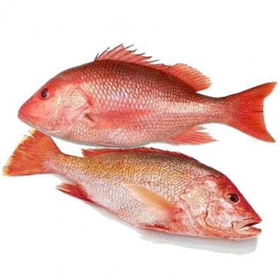 Home | FreshWorld Express