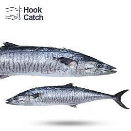 Fresh Online Fish and Meat store | Kannu Online delivery |Best Online ...