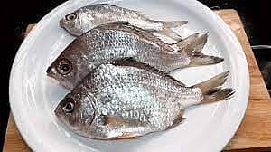 Fresh Online Fish and Meat store | Kannu Online delivery |Best Online ...