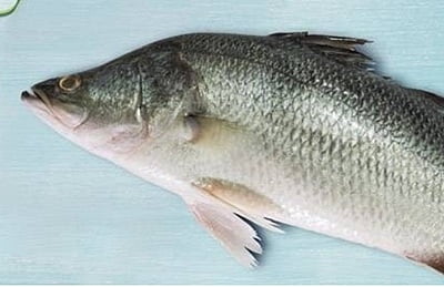 Fresh Online Fish and Meat store | Kannu Online delivery |Best Online ...